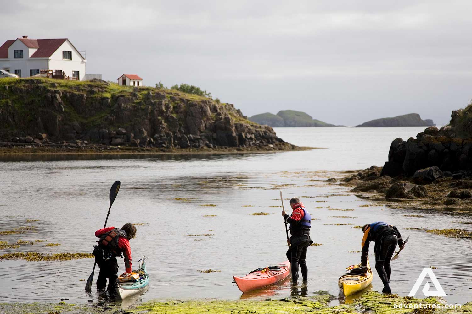 Kayak Car Rental Reykjavik at Edna Weiss blog