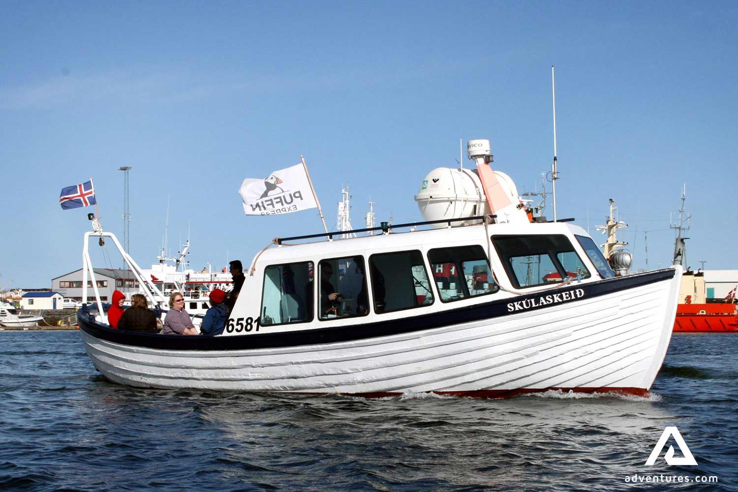 Puffin Express | Puffin Watching from Reykjavik | Adventures.com