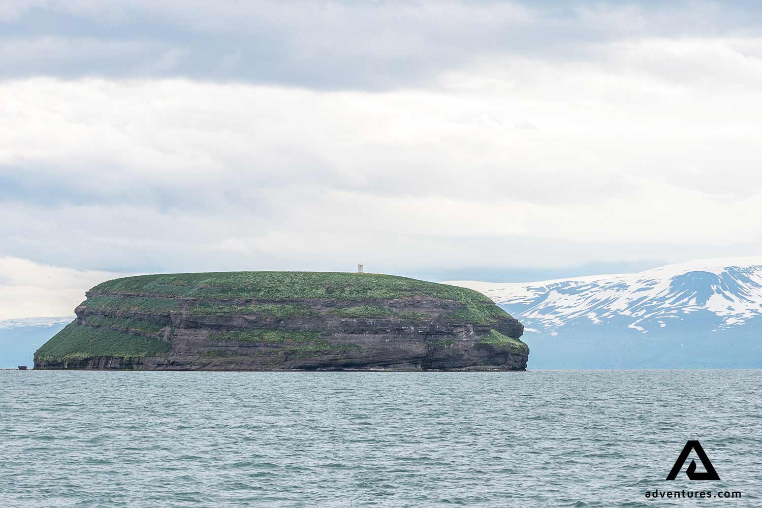 Whales & Puffins Tour | North Iceland Tours | Adventures.com