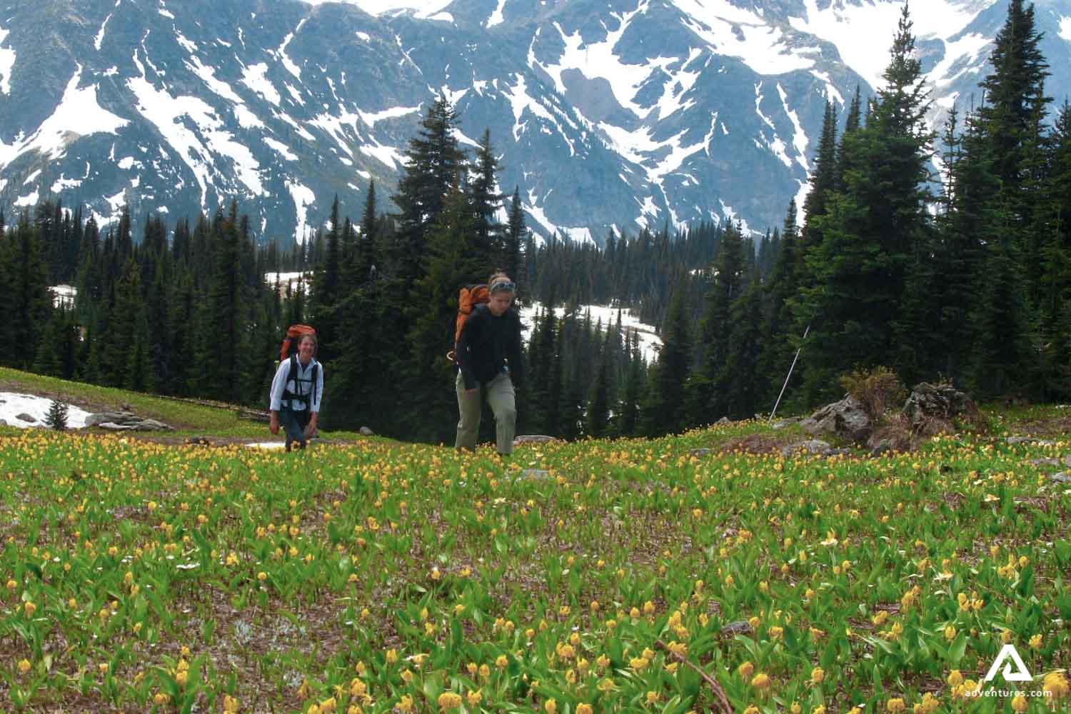 Hut To Hut Alpine Hiking Tour In Wells Gray | Adventures.com