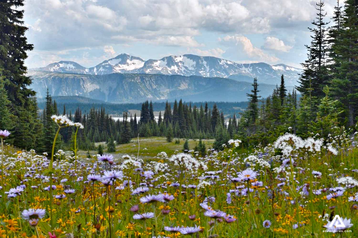 Hut To Hut Alpine Hiking Tour In Wells Gray | Adventures.com