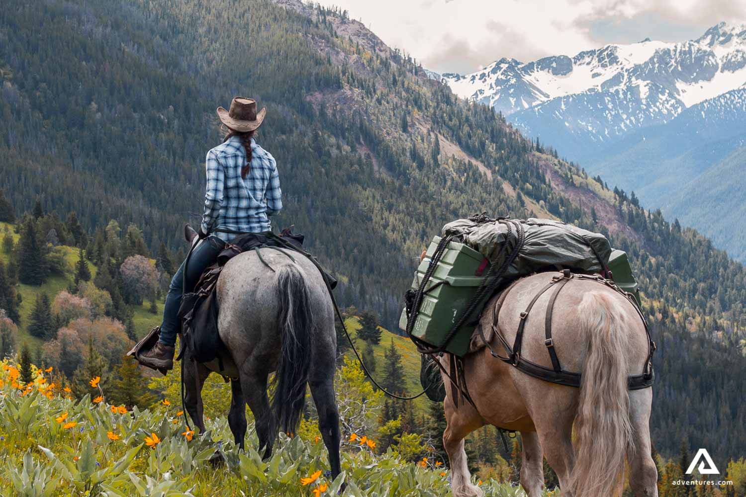 Wilderness Horseback Guide Training Program | Adventures.com