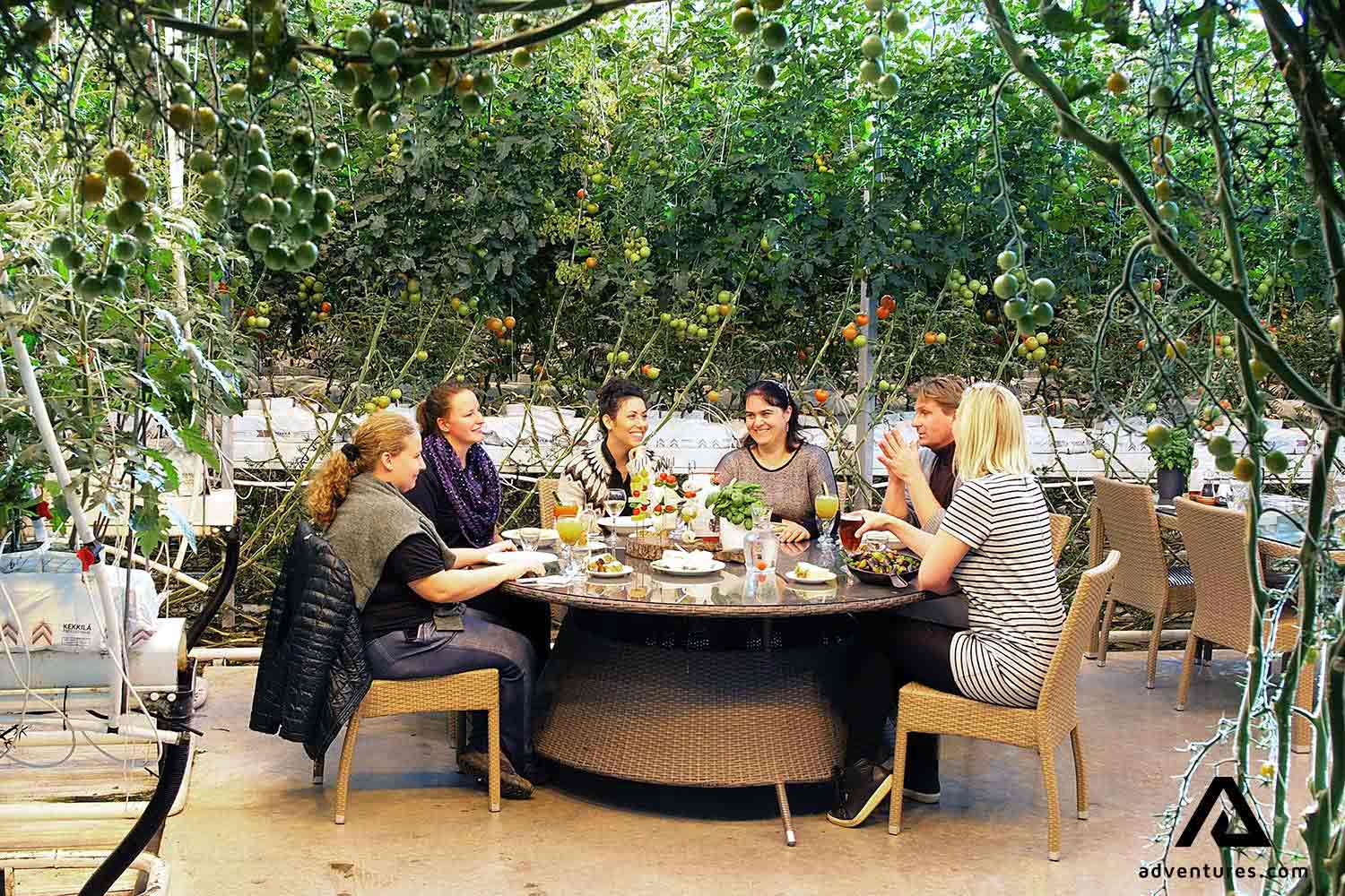 Golden Circle Guide and Tips | Adventures.com