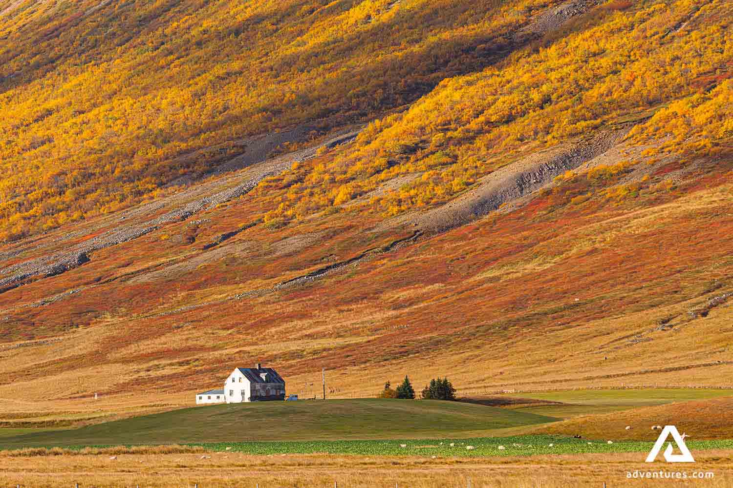 10 Things to Do in Autumn in Iceland | Adventures.com