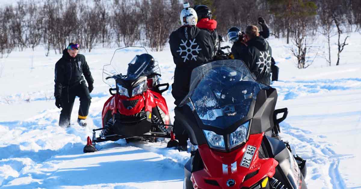 Arctic Wildlife Safari with Snowmobile | Adventures.com