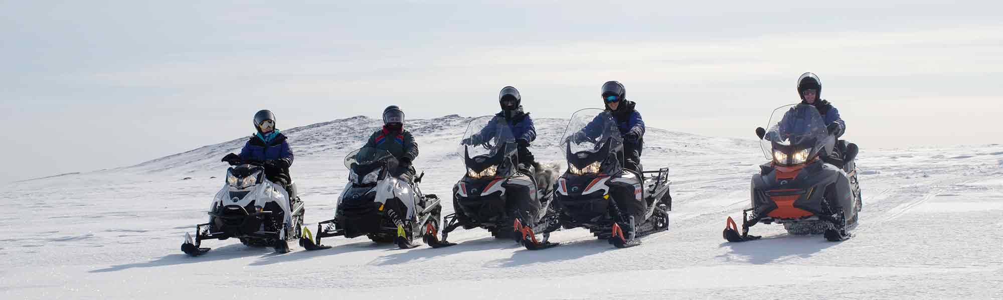 Arctic Wildlife Safari with Snowmobile | Adventures.com
