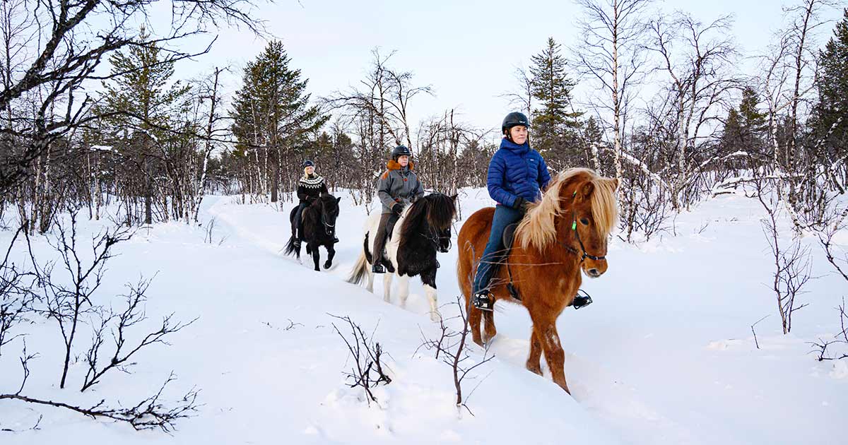 7-day Winter Week on Horseback | Adventures.com