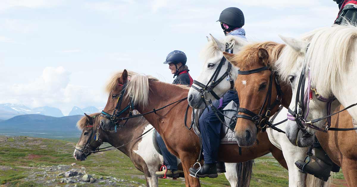 Experience the Magic of the Ratekjokk Trail in Sweden