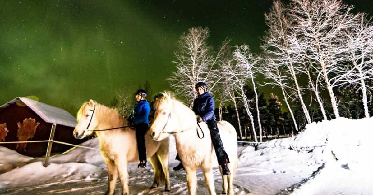 Northern Lights Tour on Horseback | Adventures.com