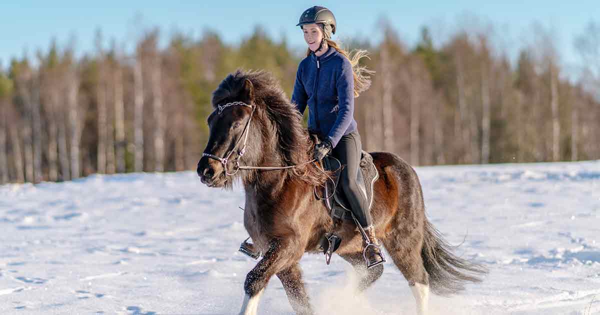 Horseback Riding Tours in Sweden – Adventures.com