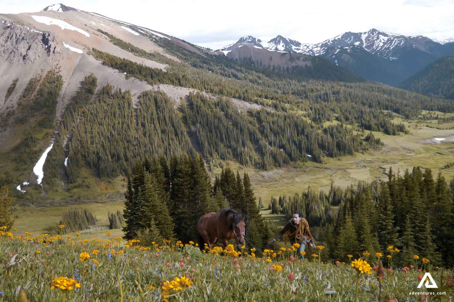 Horse Pack Trip in the Chilcotin Mountains | Adventures.com