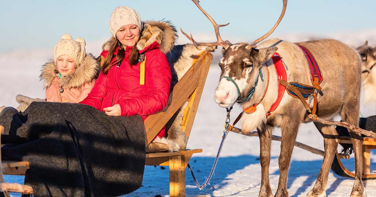 Sledding Tours in Norway | Adventures.com