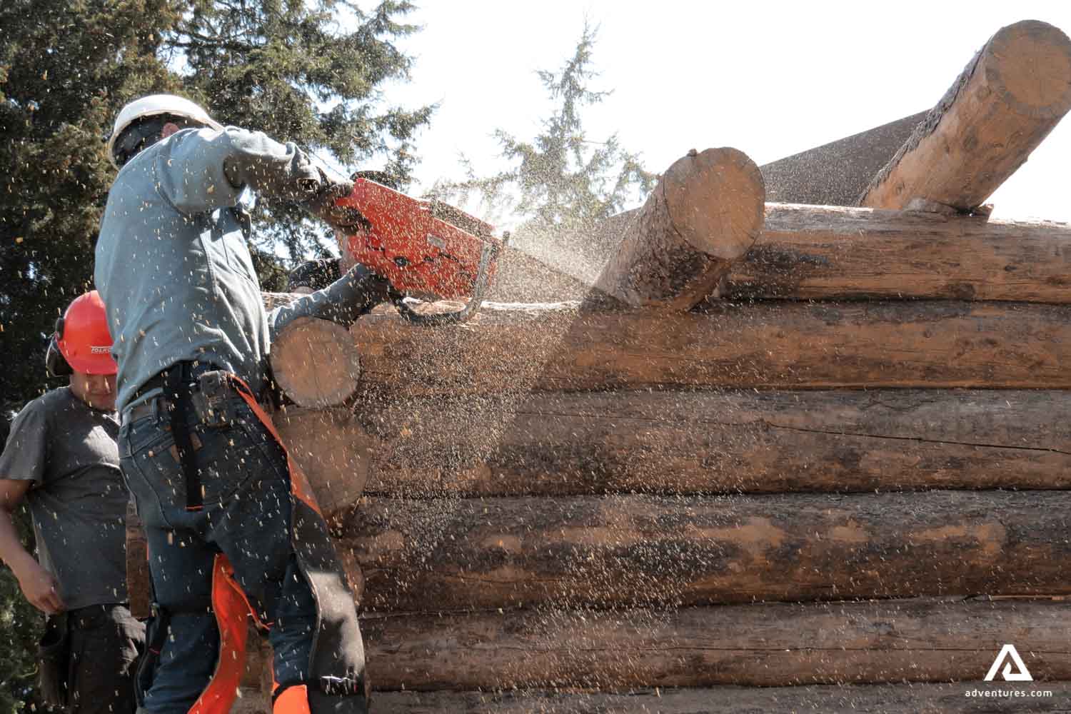 Wilderness Survival Building A Logan Cabin | Adventures.com