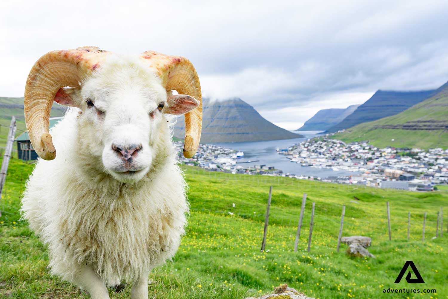 All About the Faroe Islands | Adventures.com