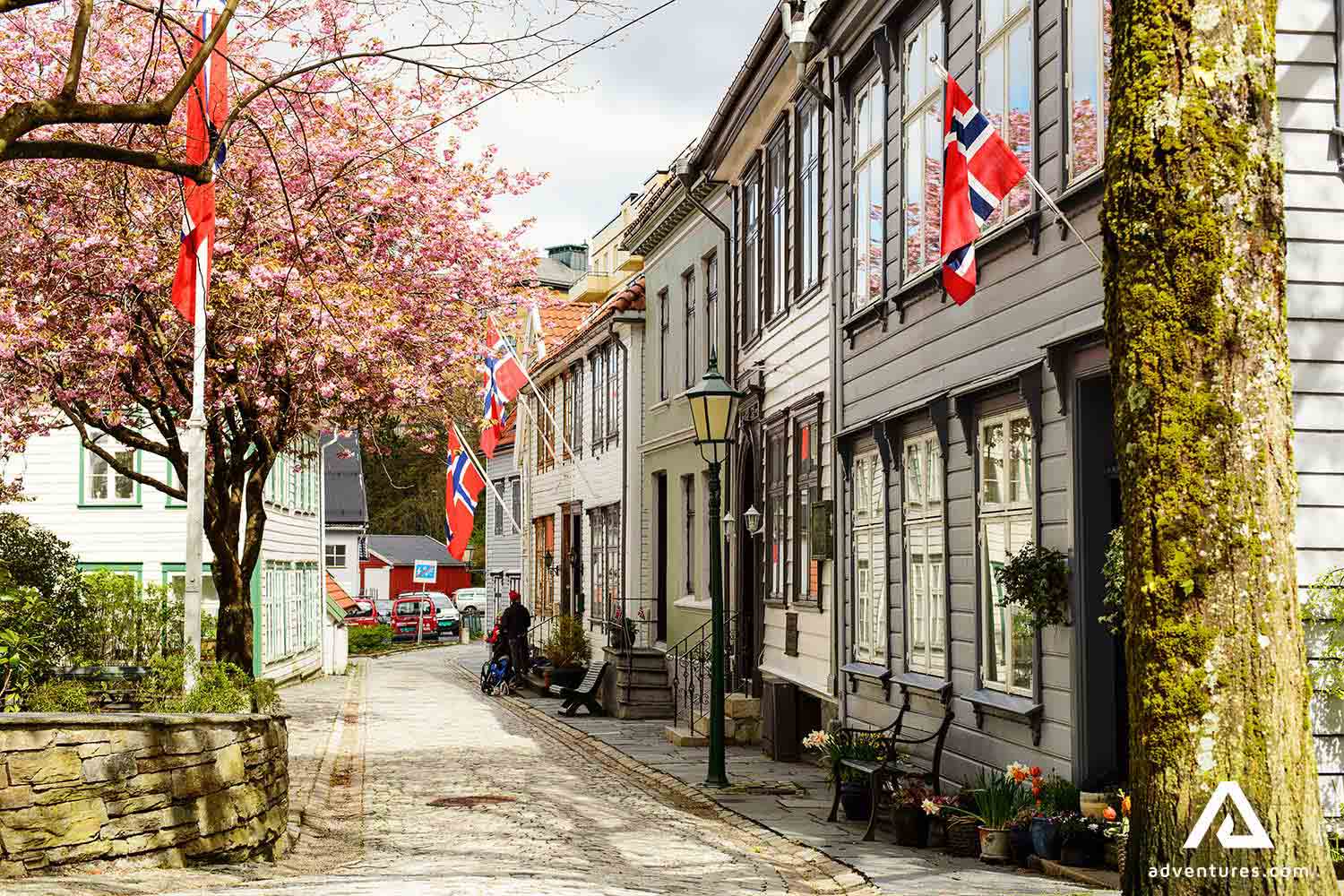 Bergen City | Norway's Attraction | Adventures.com