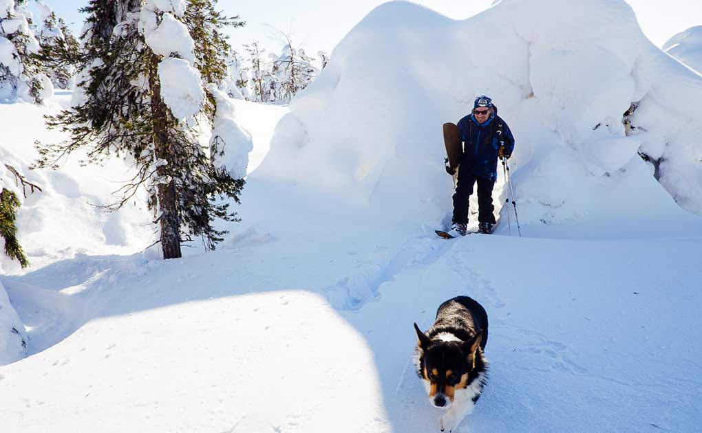 Snow Surfing in the Pyha Area | Adventures.com