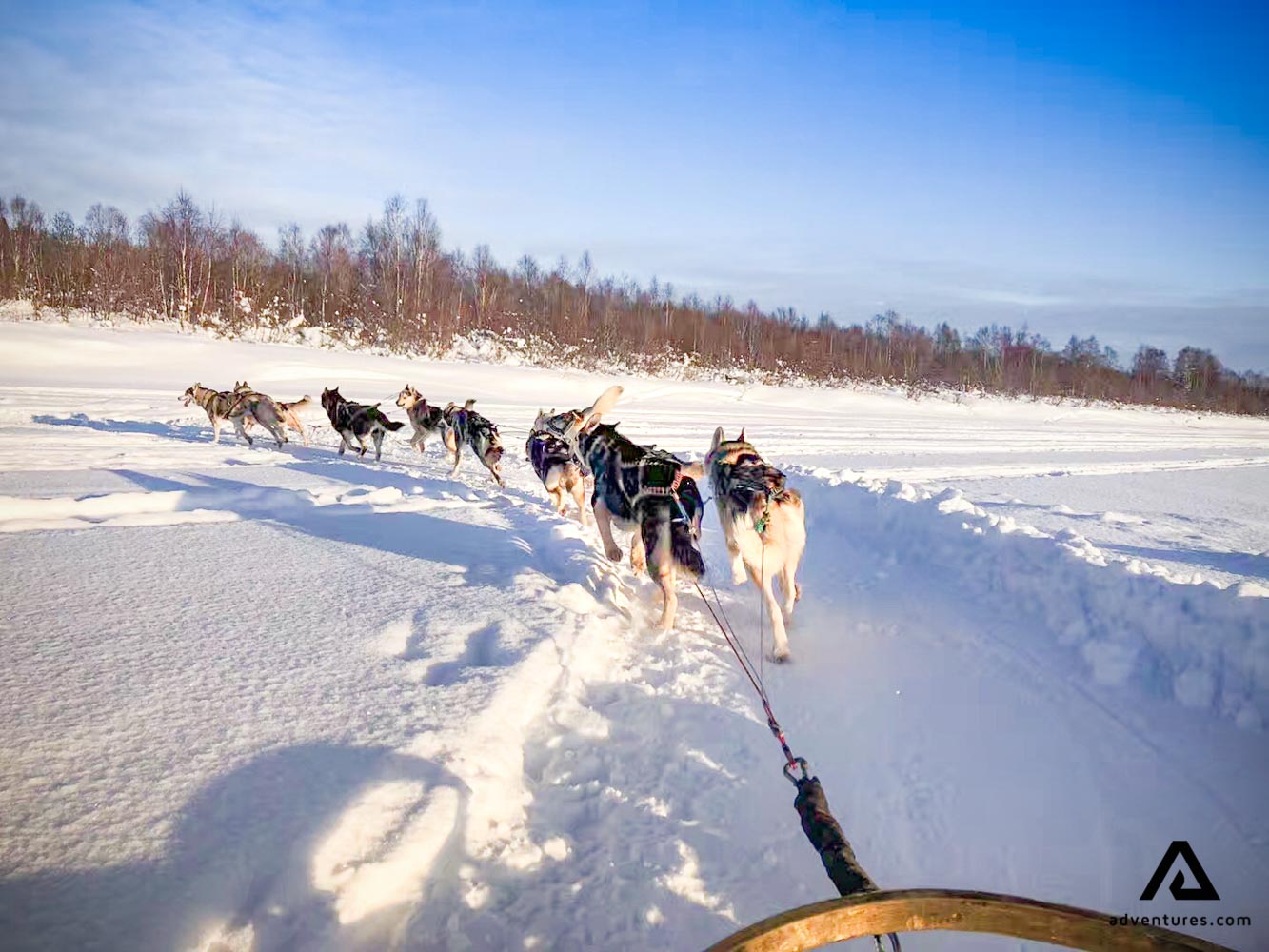 Snowshoeing, Santa Claus Village, Husky Ride