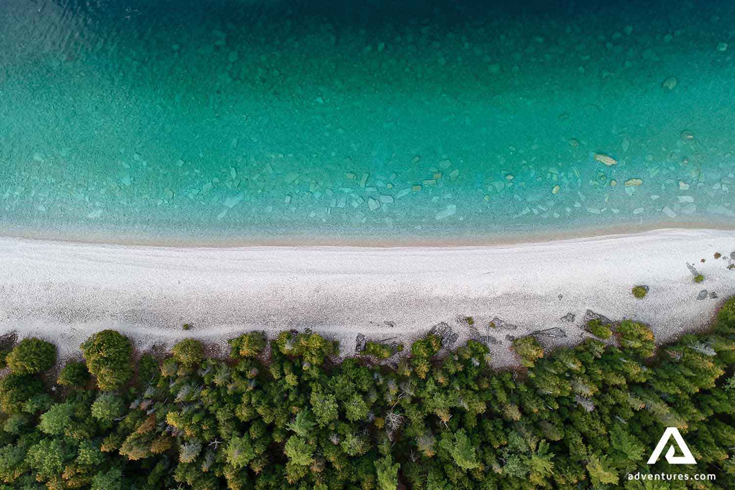 Bruce Peninsula Plants