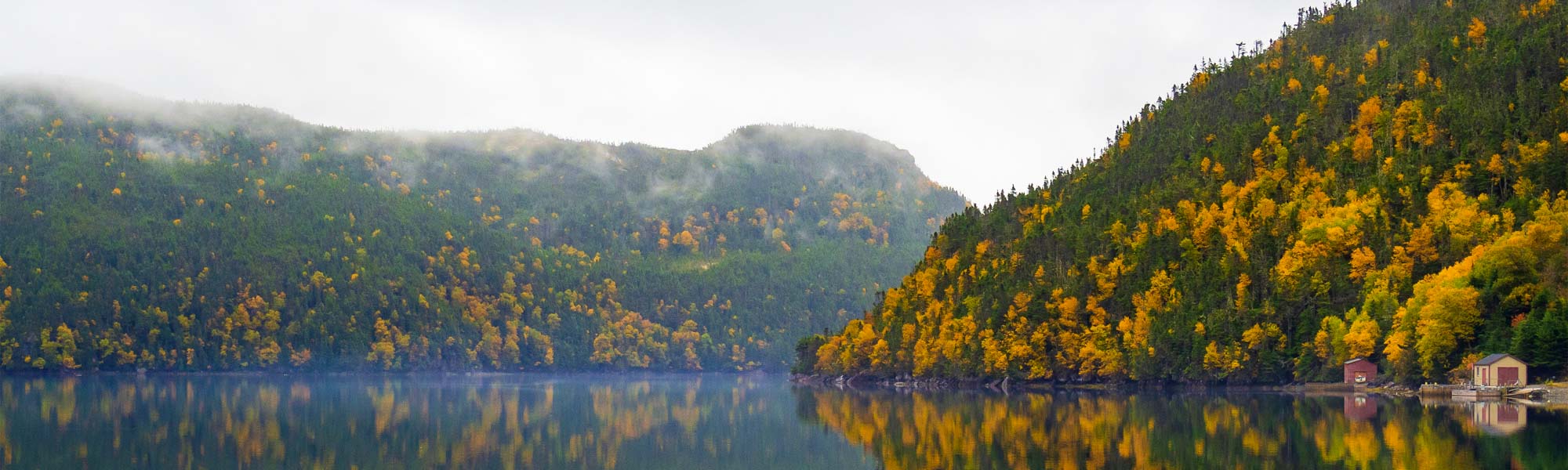 Complete Guide About Springdale in Canada | Adventures.com