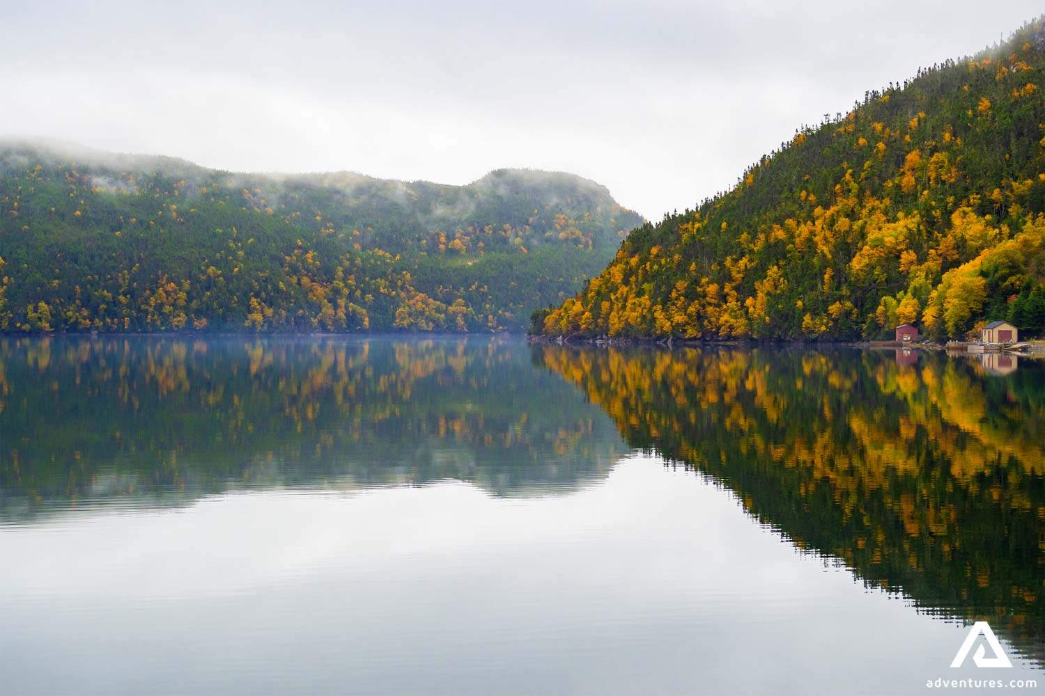 A Guide to Springdale: Newfoundland & Labrador's Hidden Treasure ...