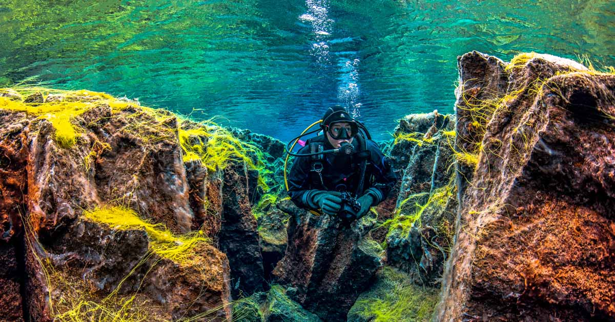 Multi-Day Diving Tour | Adventures.com