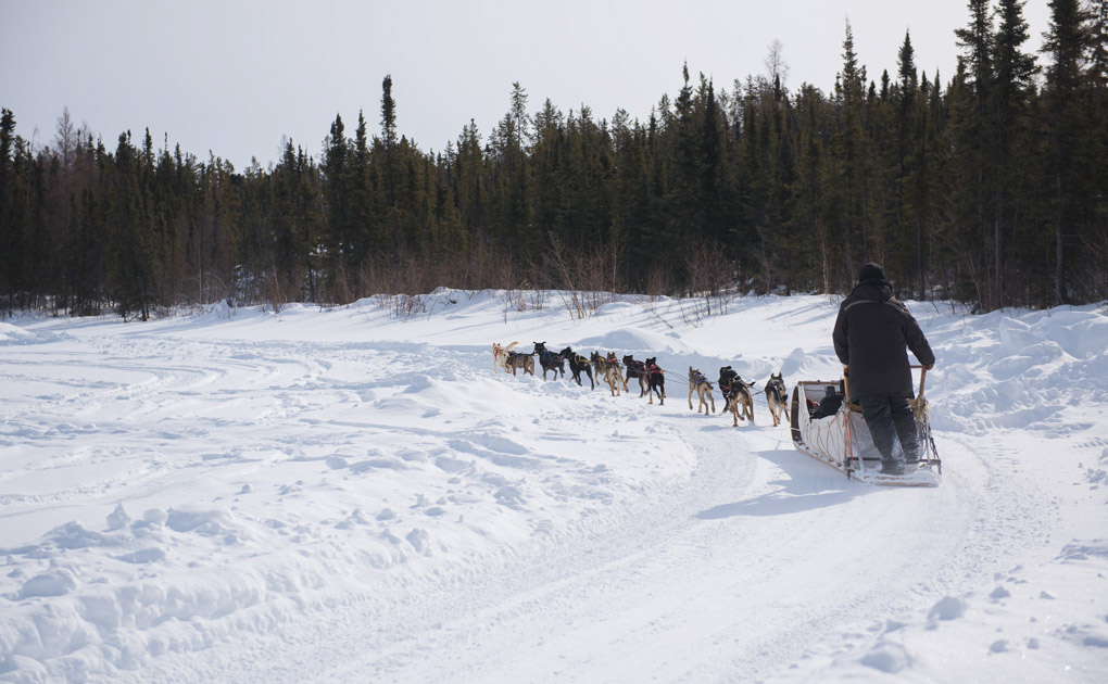 Dog Sledding Tours In Canada | Adventures.com