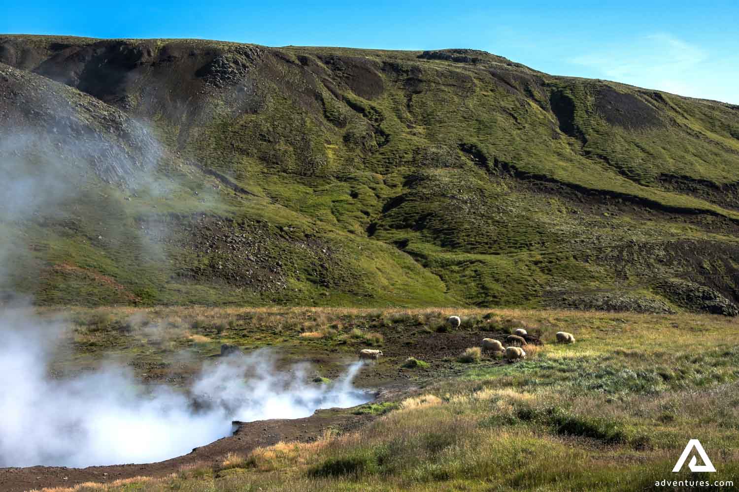 Zipline in Hveragerði | Adventures.com