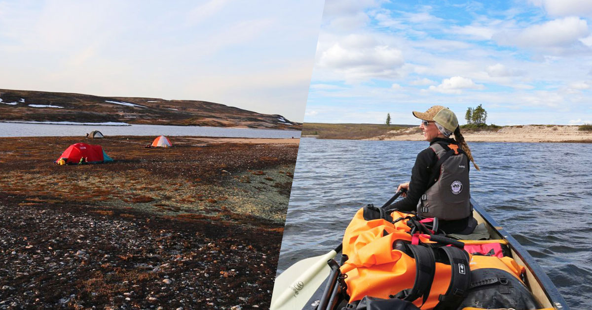 Canoe with muskox and wolves on this Thelon river expedition