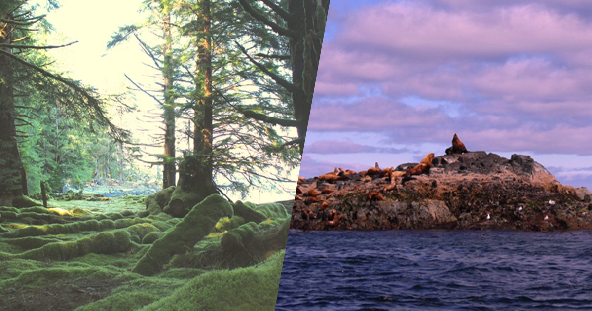 Haida Gwaii Indigenous Culture and Nature Tour in Canada