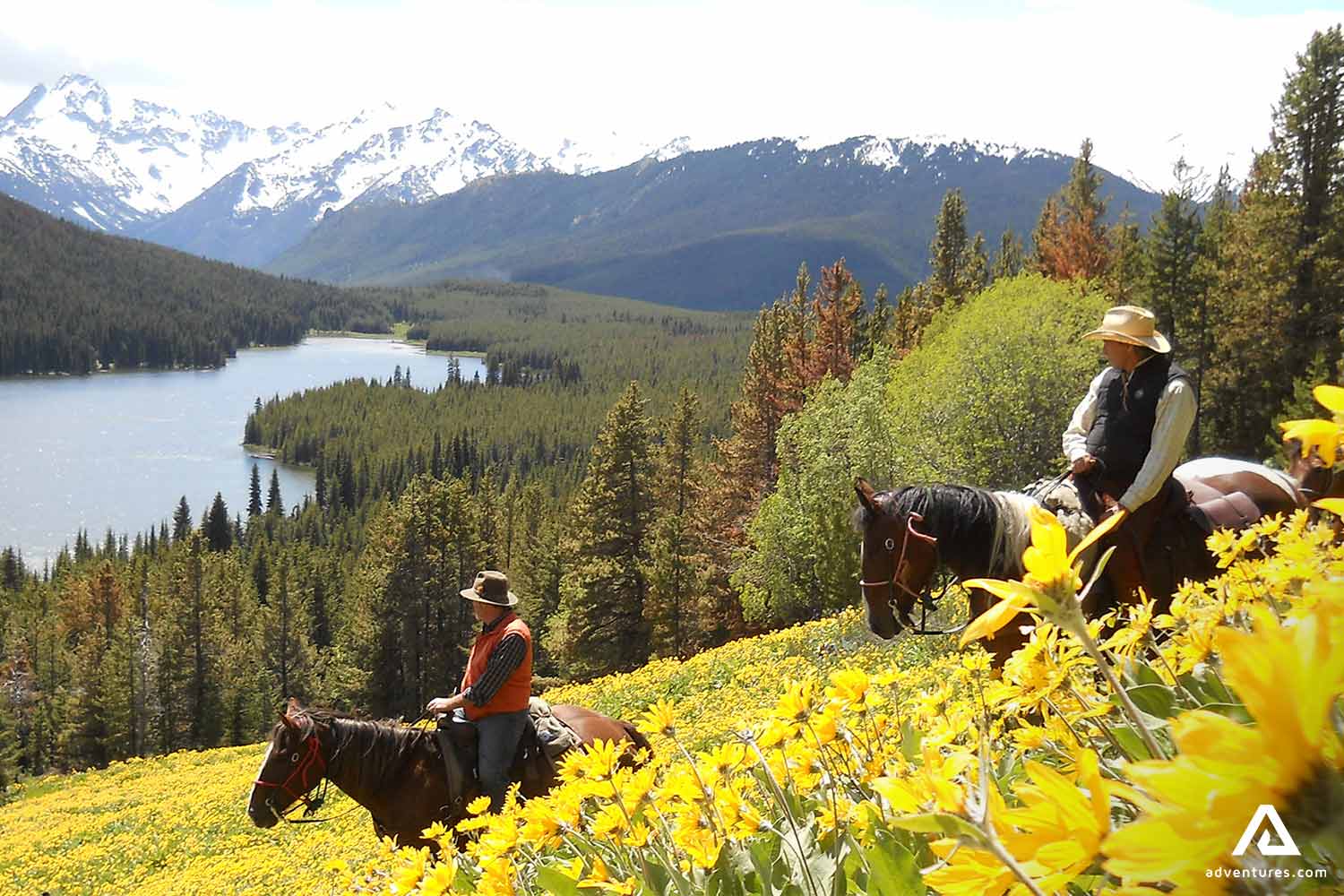 Wildlife Watching In Chilcotin Mountains | Adventures.com