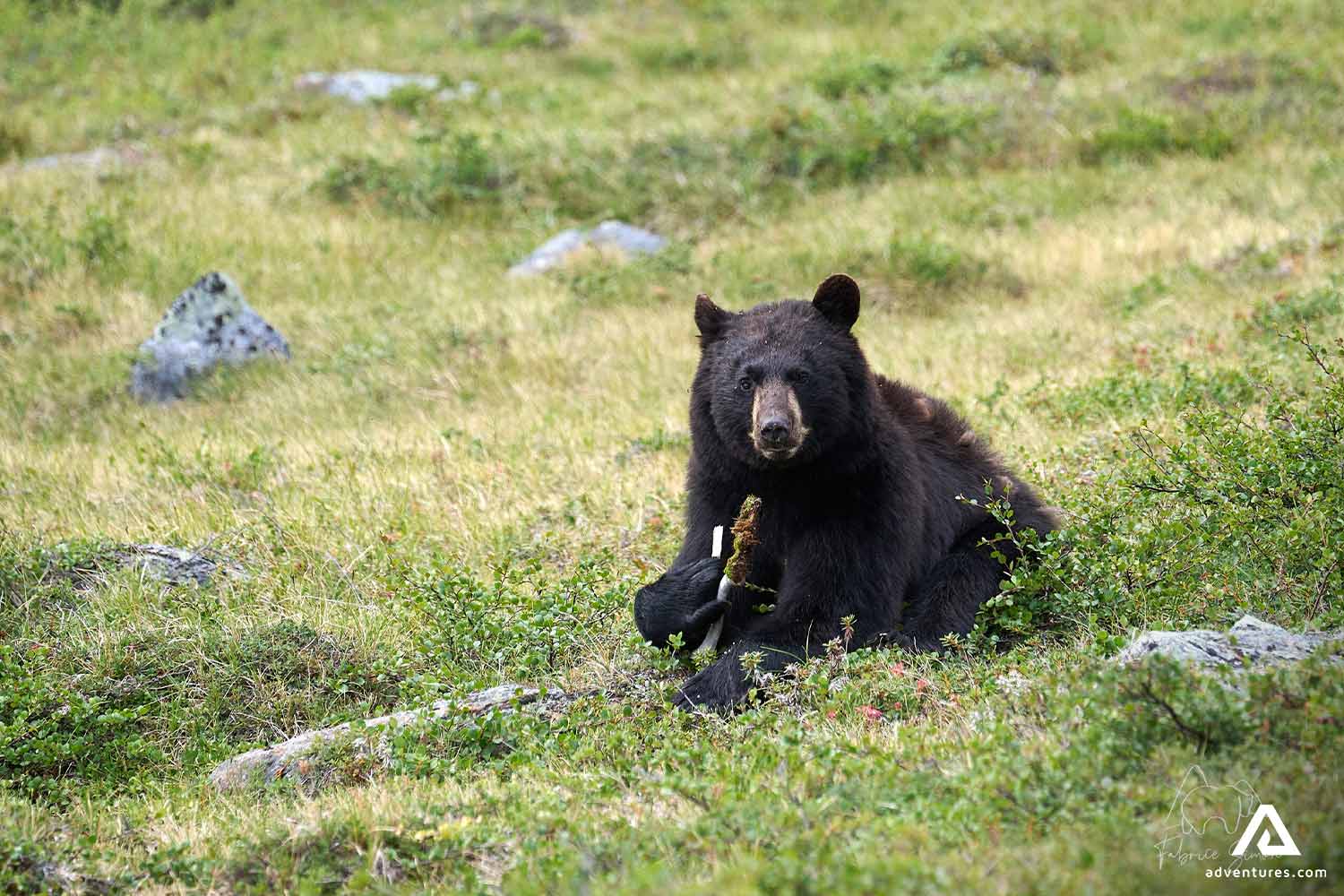 Tour of Northern Quebec & Labrador Coast | Adventures.com