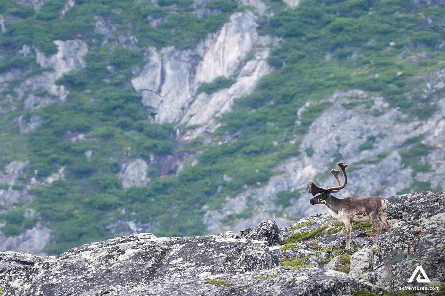 Tour of Northern Quebec & Labrador Coast | Adventures.com