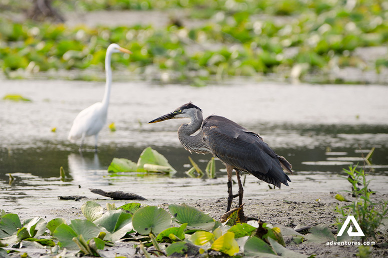 Lake Ontario | Adventures.com
