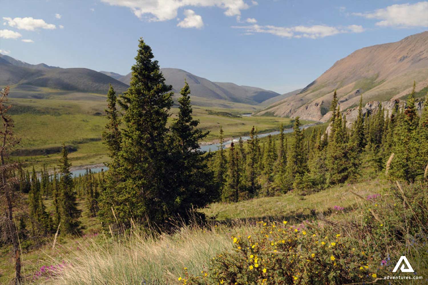 Raft Expedition Trip On The Firth River | Adventures.com