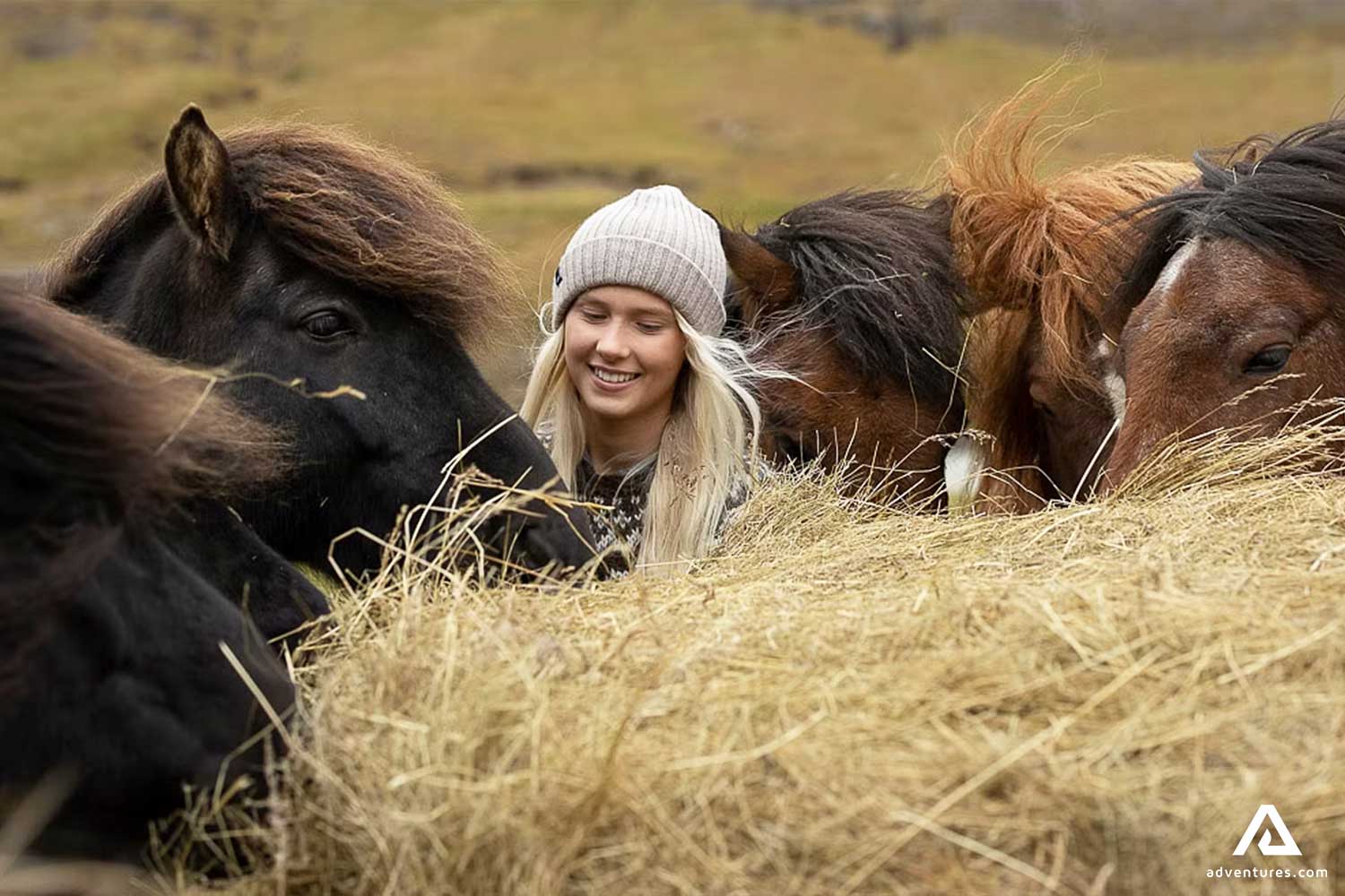 Horse Riding in East Iceland | Adventures.com