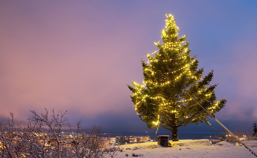 Essential Guide to Christmas in Iceland | Adventures.com