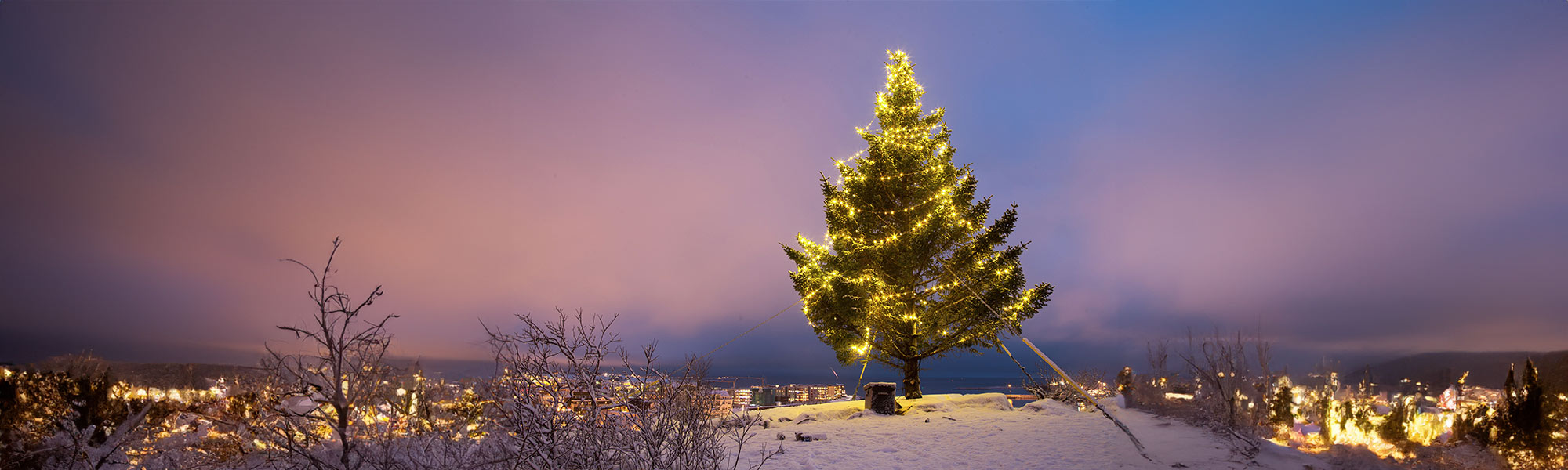 Essential Guide to Christmas in Iceland | Adventures.com