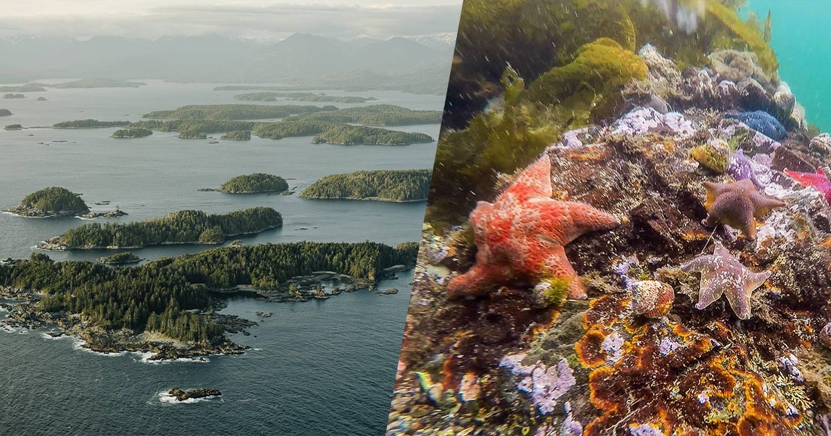 Explore Outer Shores of Vancouver Island | Adventures.com