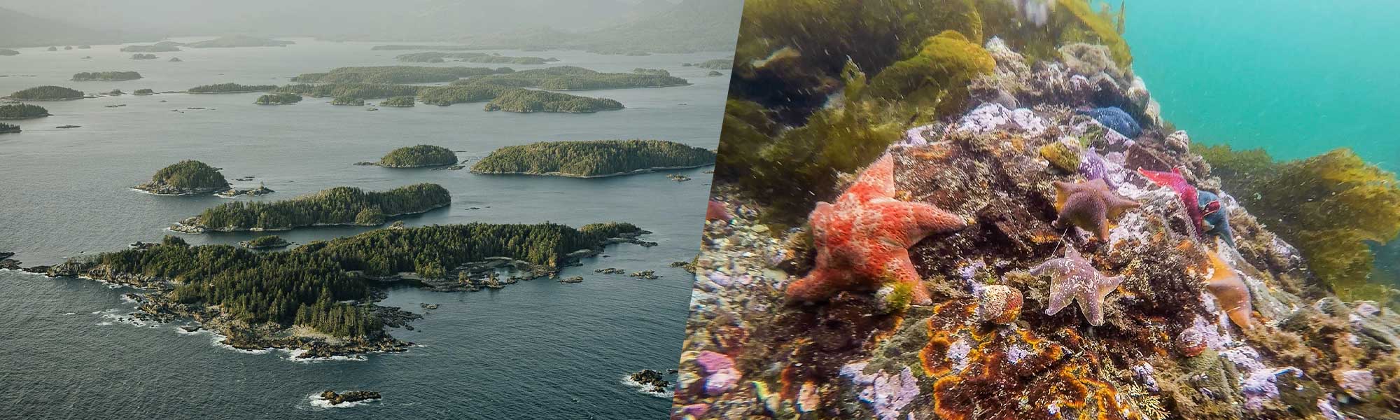 Explore Outer Shores of Vancouver Island | Adventures.com