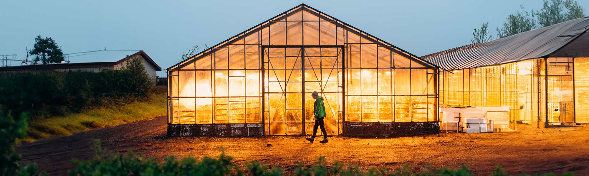 Fridheimar farm | Adventures.com