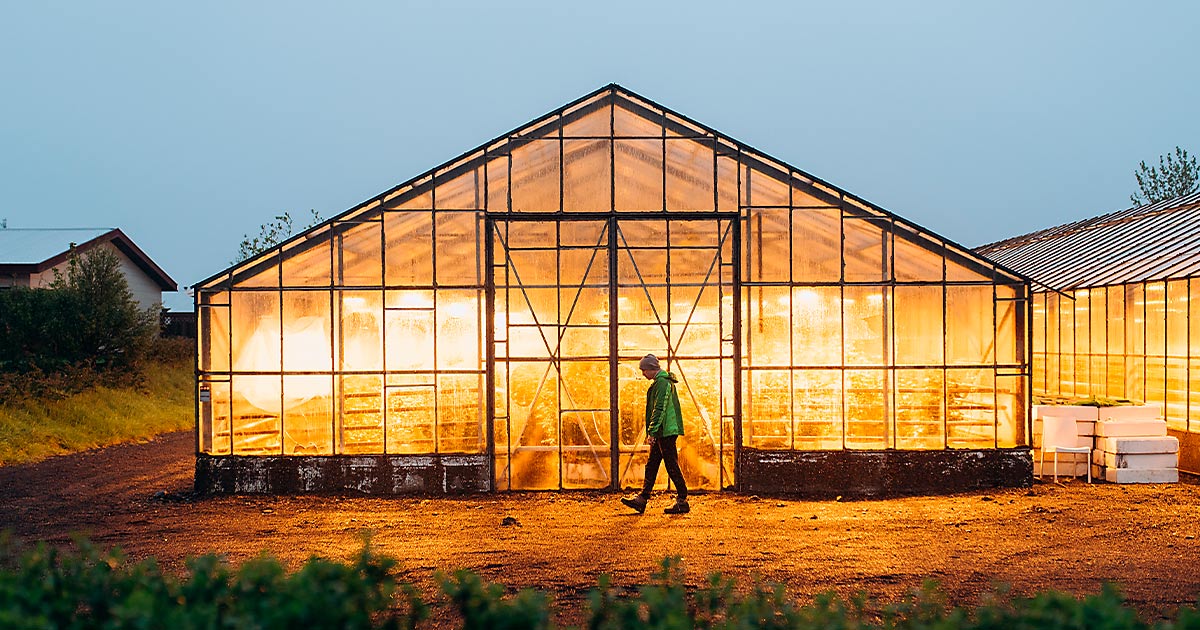 Fridheimar farm | Adventures.com