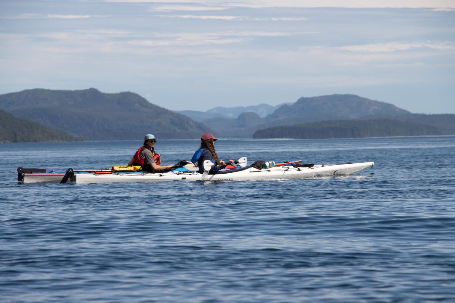 Sea Kayaking Tours from Telegraph Cove | Adventures.com