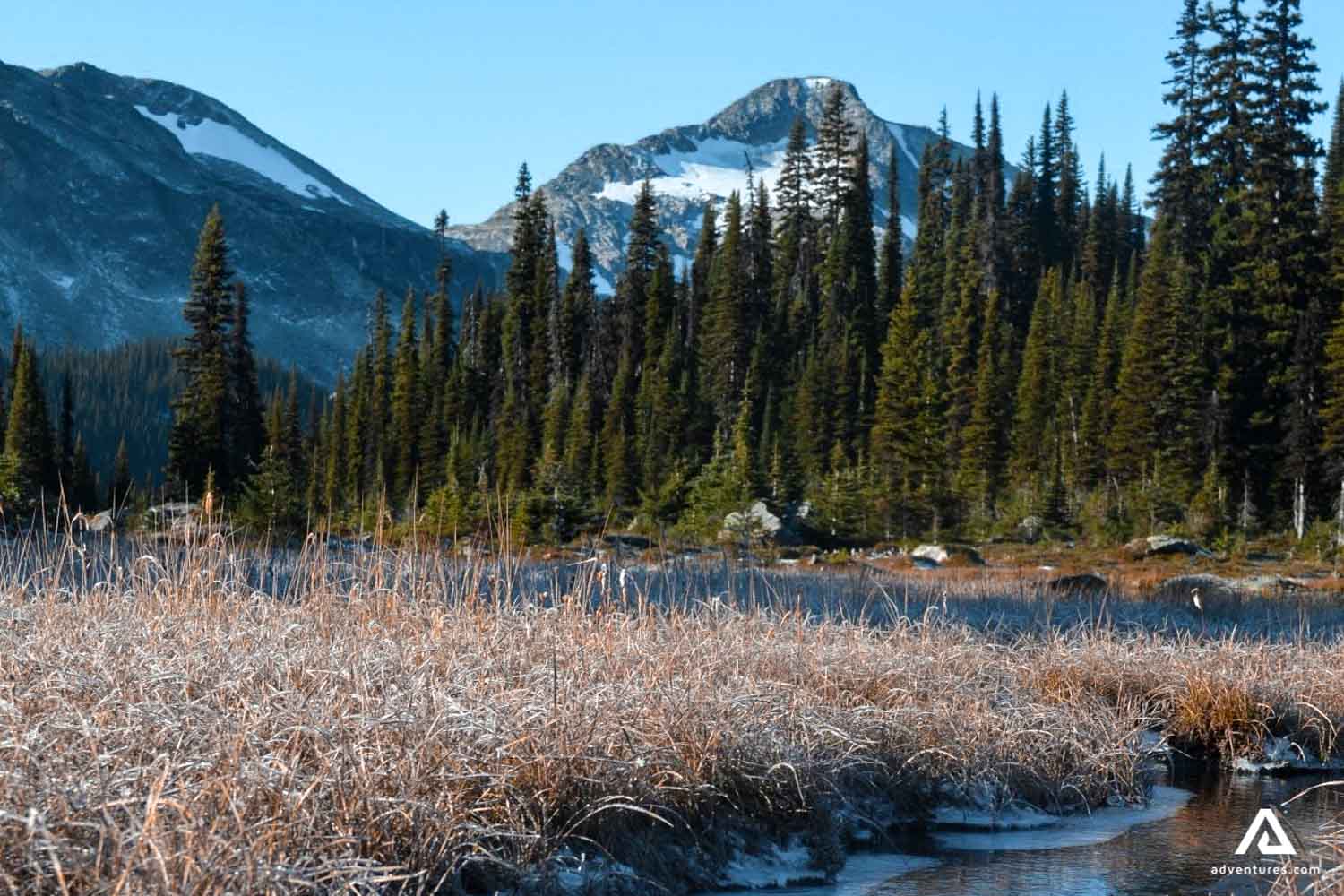 Hut To Hut Alpine Hiking Tour In Wells Gray | Adventures.com