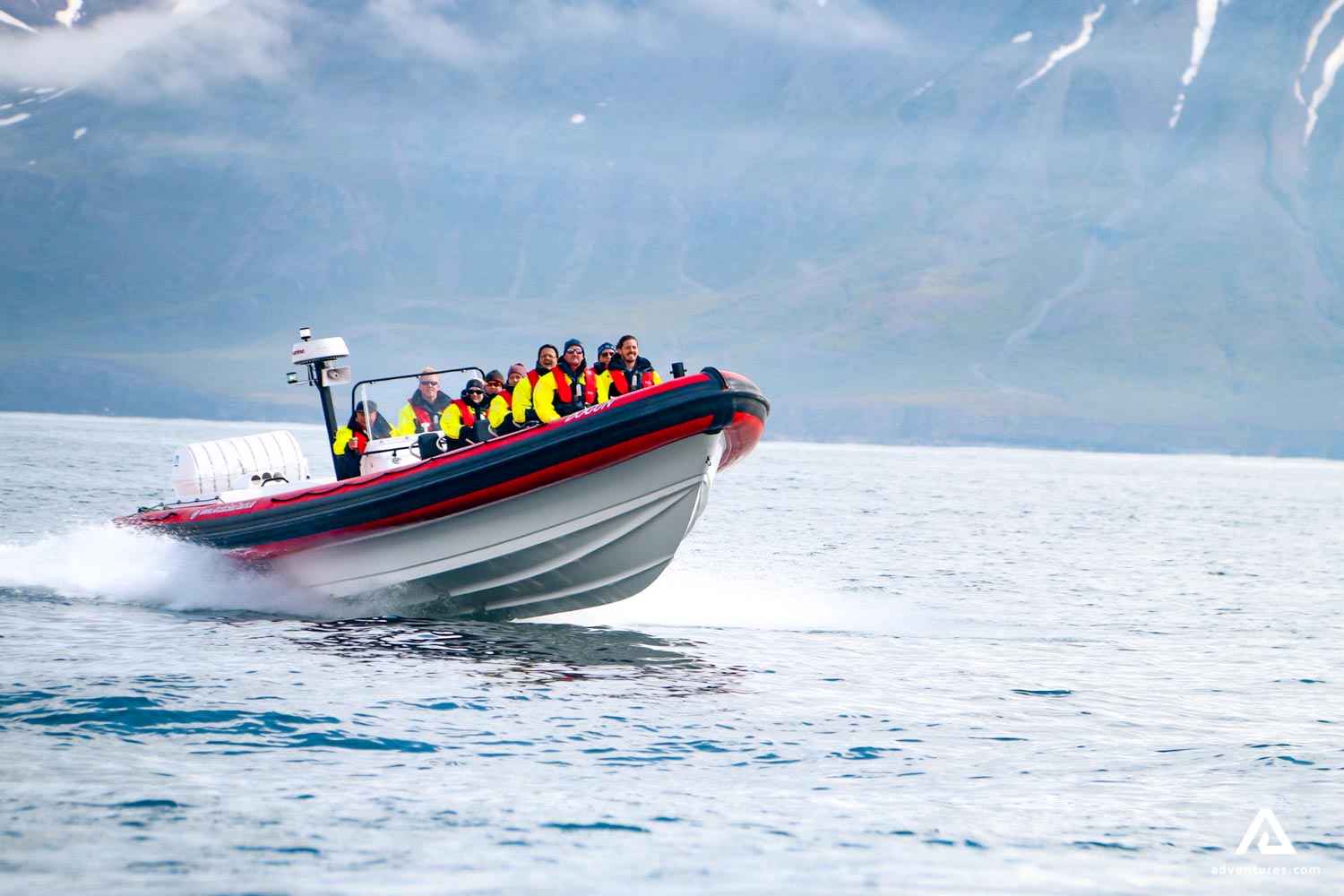 Whale Watching Rib Boat Tour From Dalvik