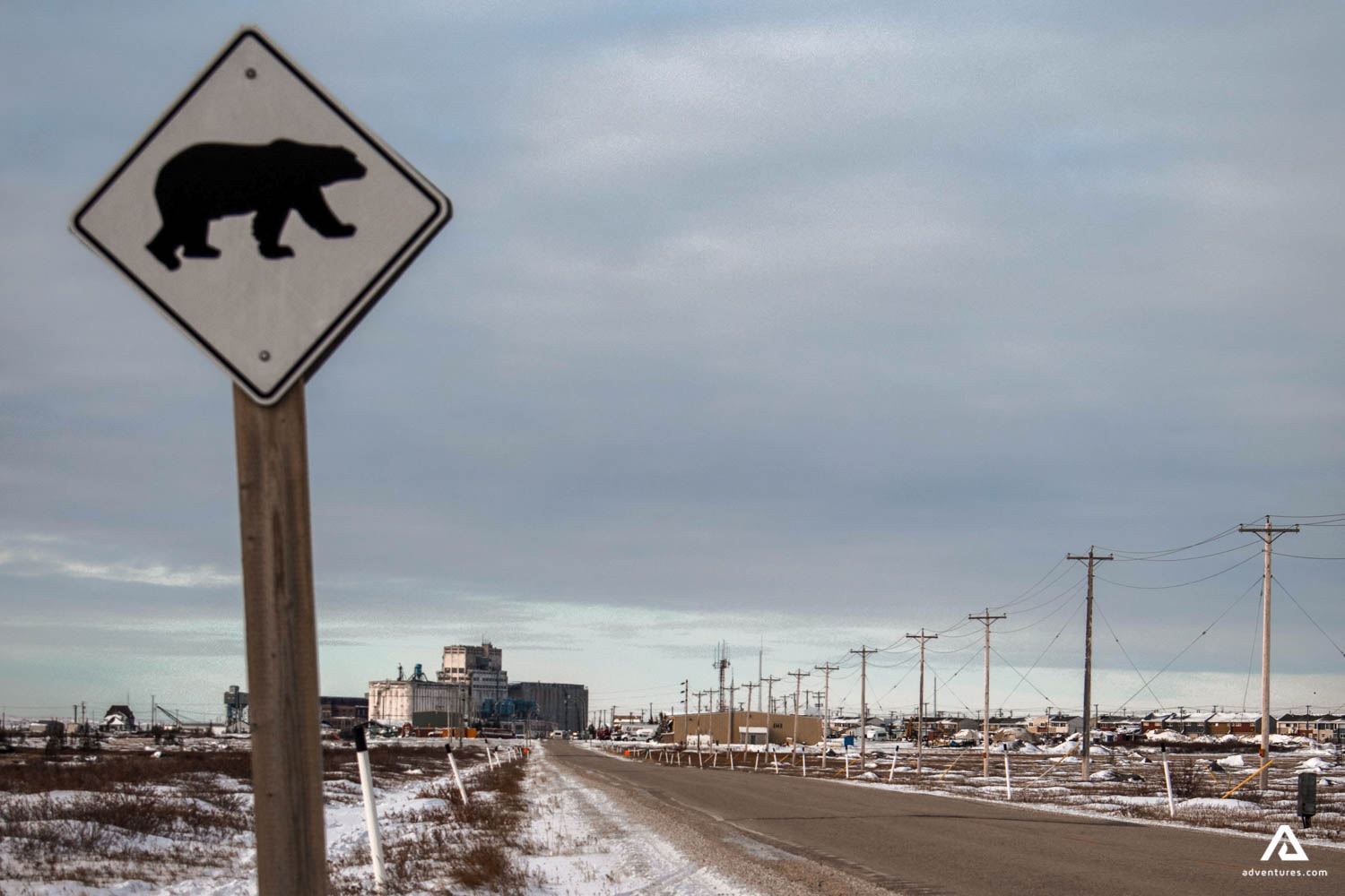 The Polar Bear Capital of the World | Adventures.com