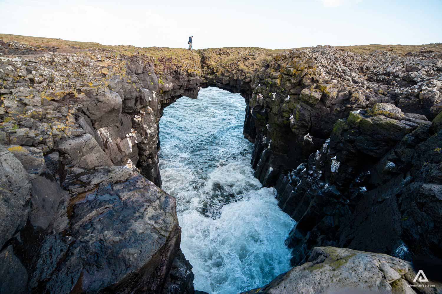 7 Day Package Tour of Iceland | Guided Tour I Adventures.com