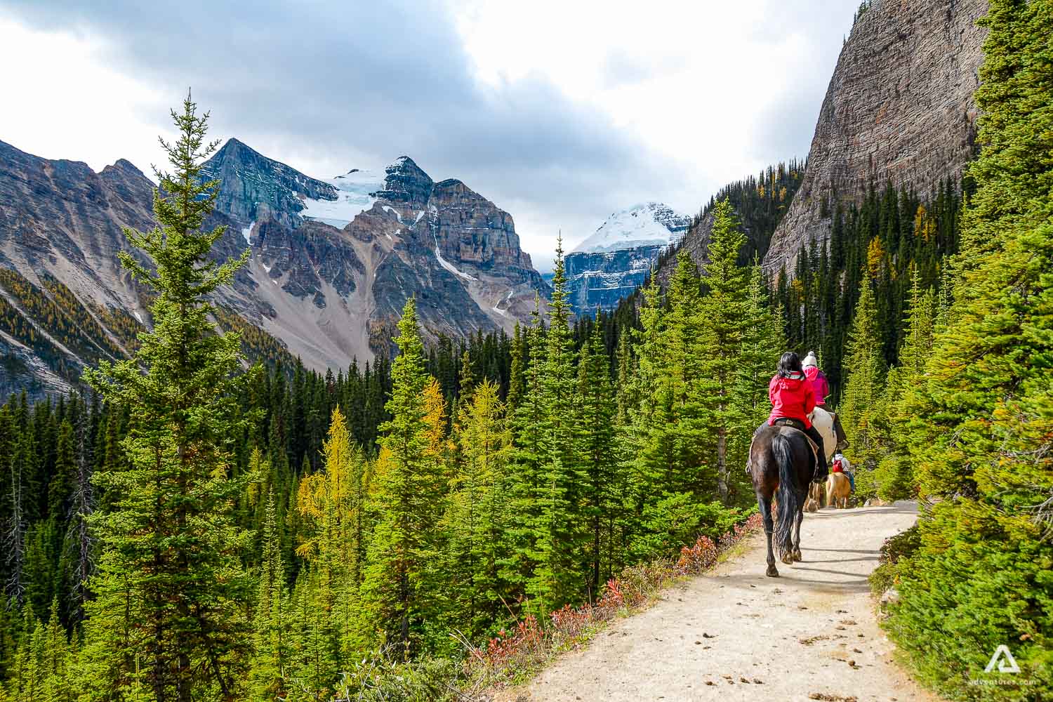 Multi-Day Tours in Alberta, Canada | Adventures.com