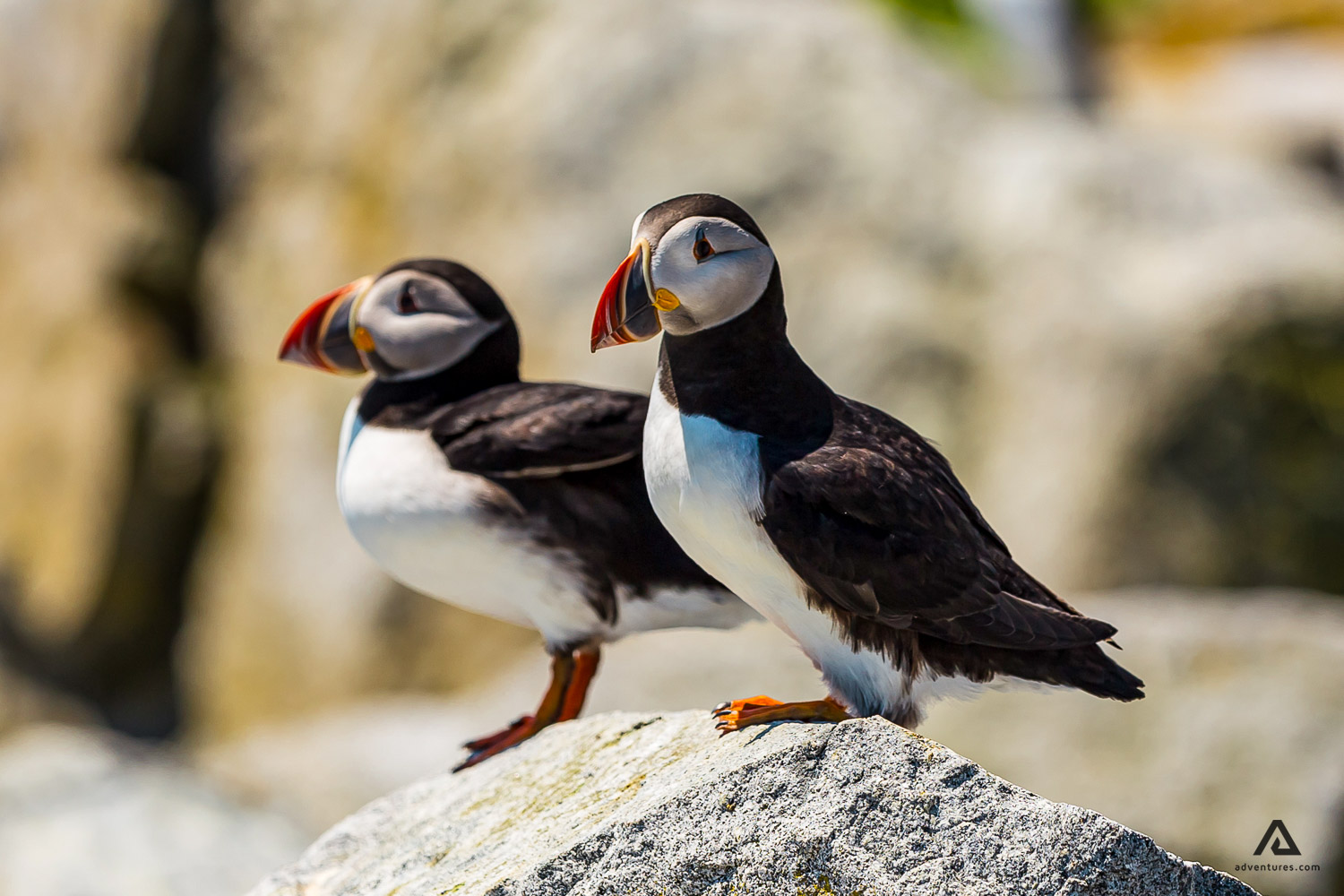 New Brunswick, Canada | Adventures.com