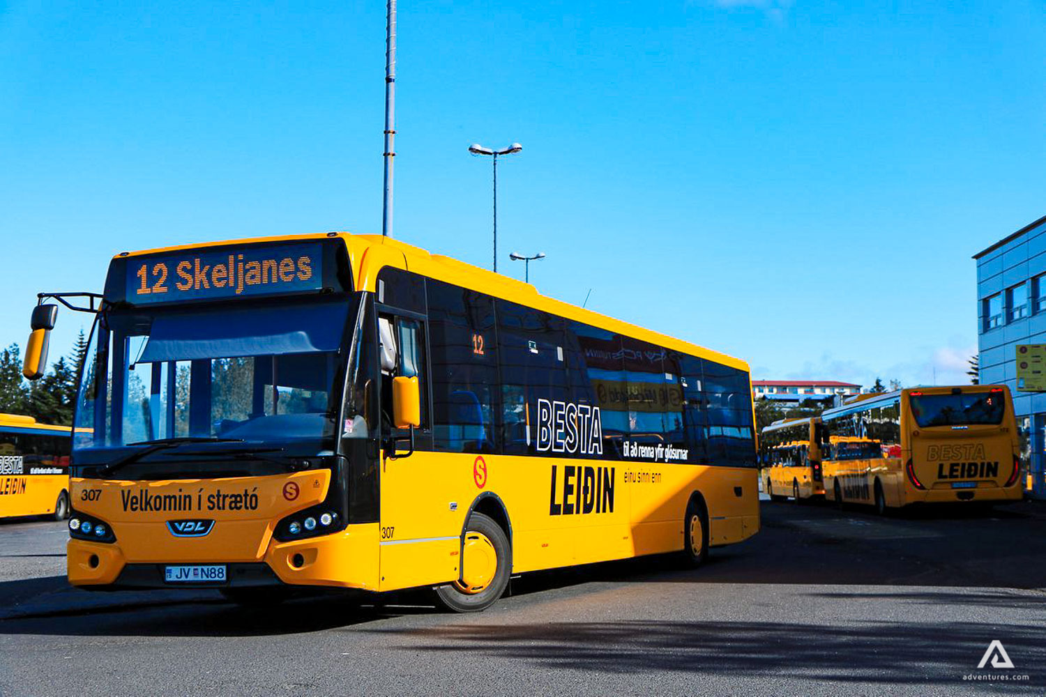 M nze Scheibe Schalter Iceland Ring Road Bus Bourgeon Erl uterung Aufheben